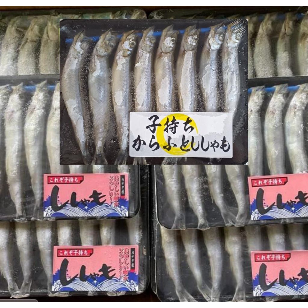 Jual Ikan Shisamo Sisamo Shishamo Capelin Fish Full Telur Telor isi 8 ...