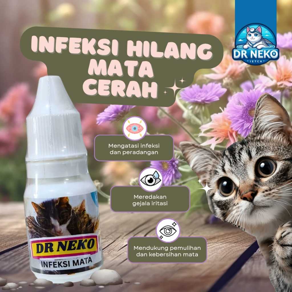 Jual Obat Mata Kucing DR NEKO tetes Mata Infeksi | Shopee Indonesia
