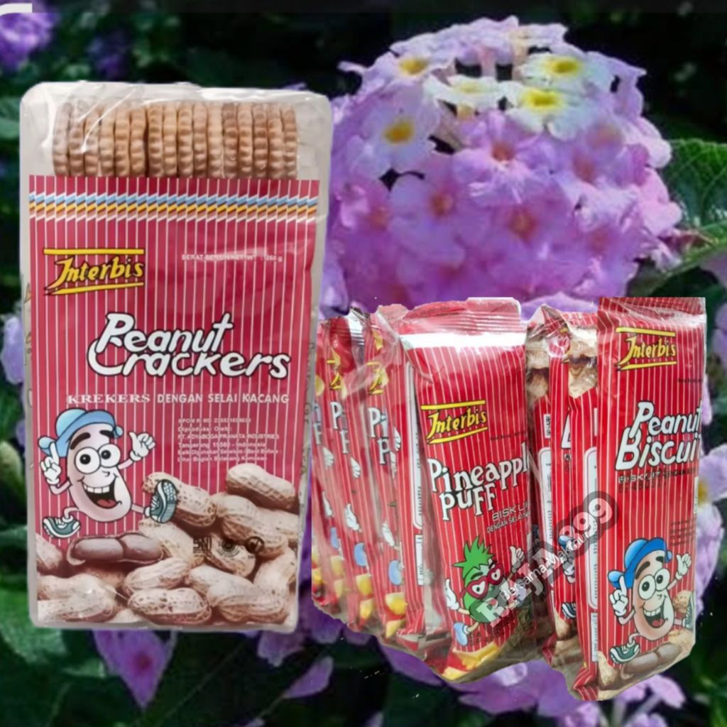 Jual INTERBIS PEANUT CRACKERS | BISKUIT KREKERS DENGAN SELAI KACANG ...