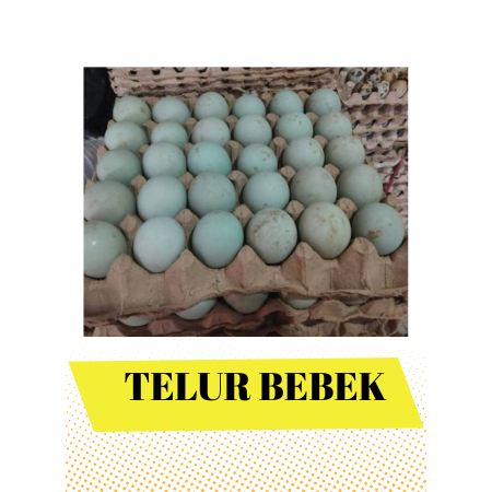 Jual Telur Bebek Terlengkap & Harga Terbaru April 2026 | Shopee Indonesia