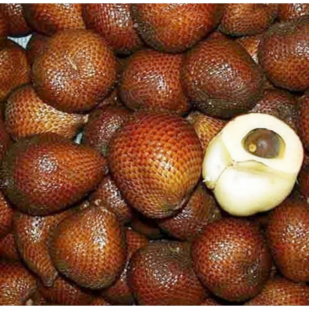Jual Salak (kg) | Shopee Indonesia