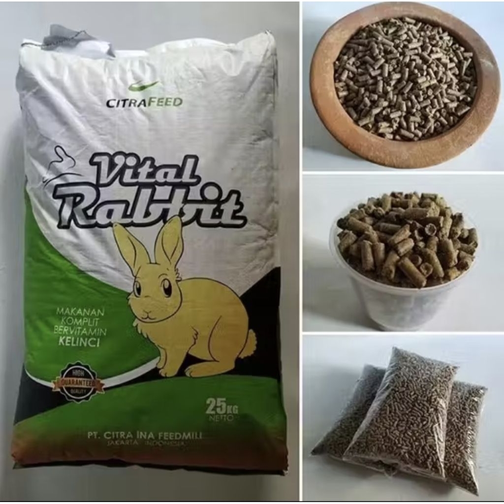Jual Vital Rabbit 1 kg Pelet Pakan Makanan Kelinci Marmut | Shopee ...