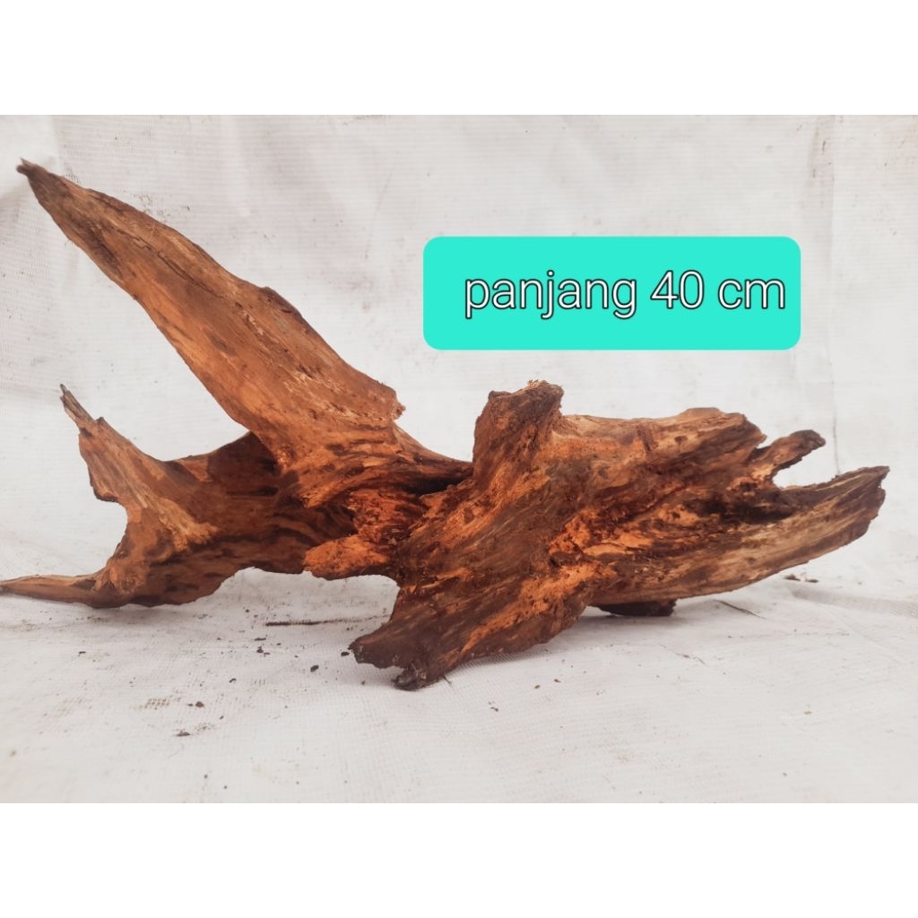 Jual kayu,rentek/fosil | Shopee Indonesia