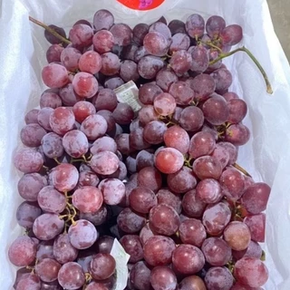 Jual Anggur 1 Kg Terlengkap & Harga Terbaru November 2025 | Shopee ...