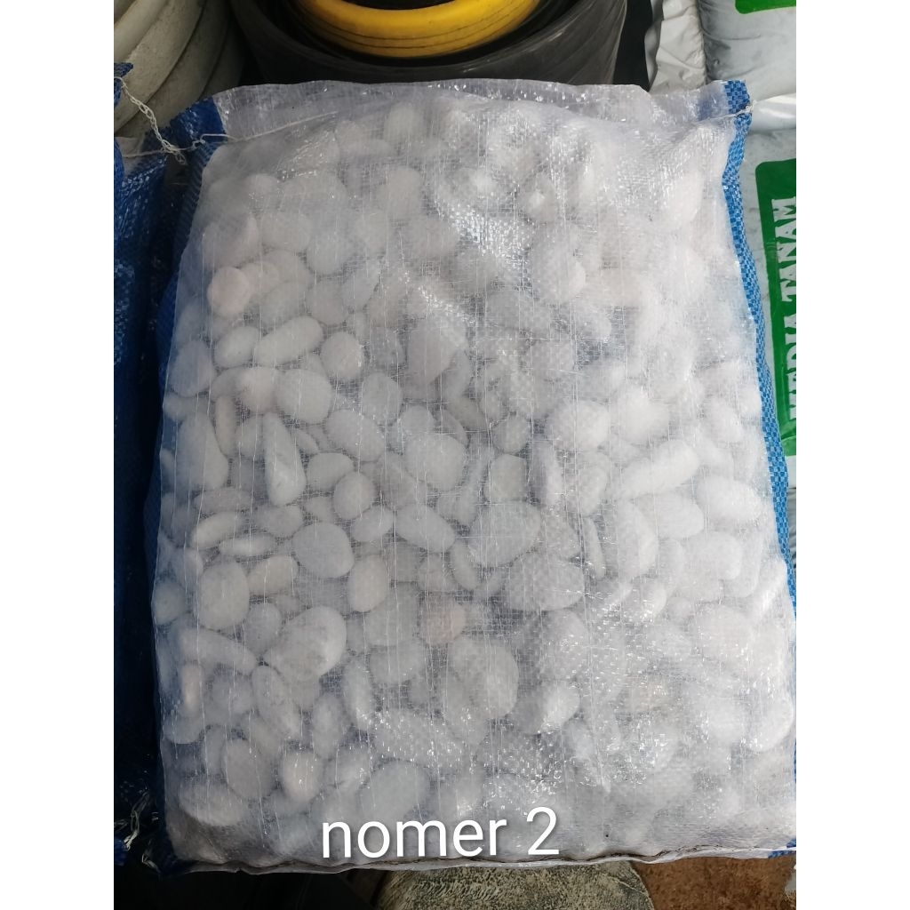Jual Batu koral putih berbagai ukuran | Shopee Indonesia