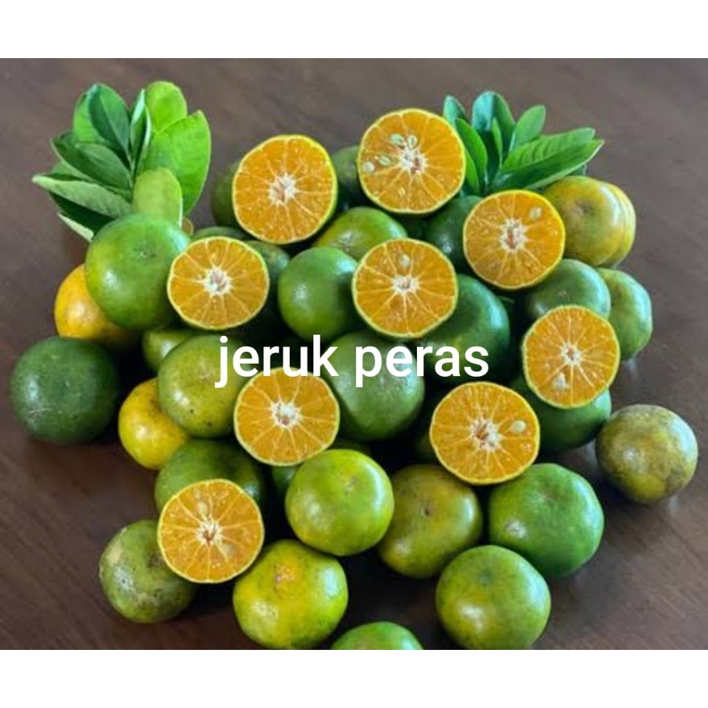 Jual JERUK PERAS HARGA PER 1 KG | Shopee Indonesia