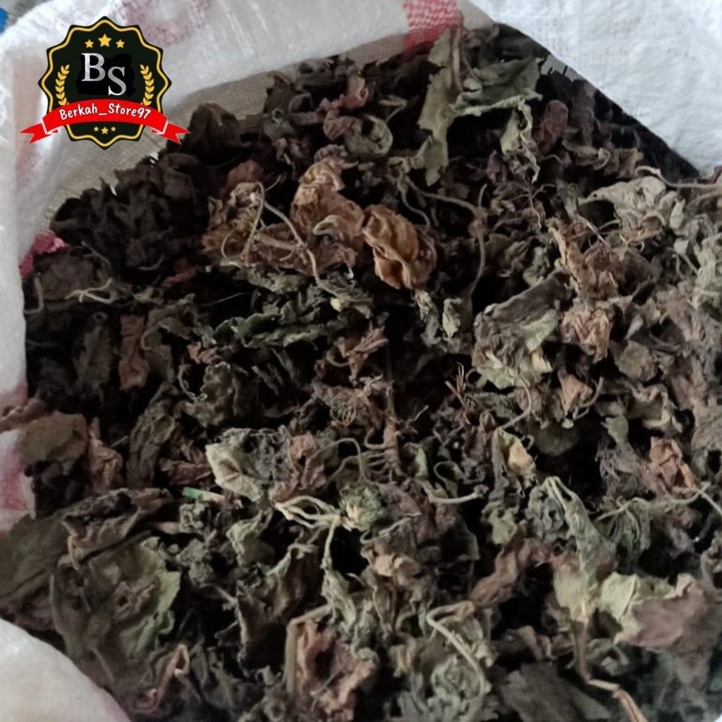 Jual 1 KG DAUN NILAM KERING SUPER BAHAN MINYAK ATSIRI WANGI | Shopee ...