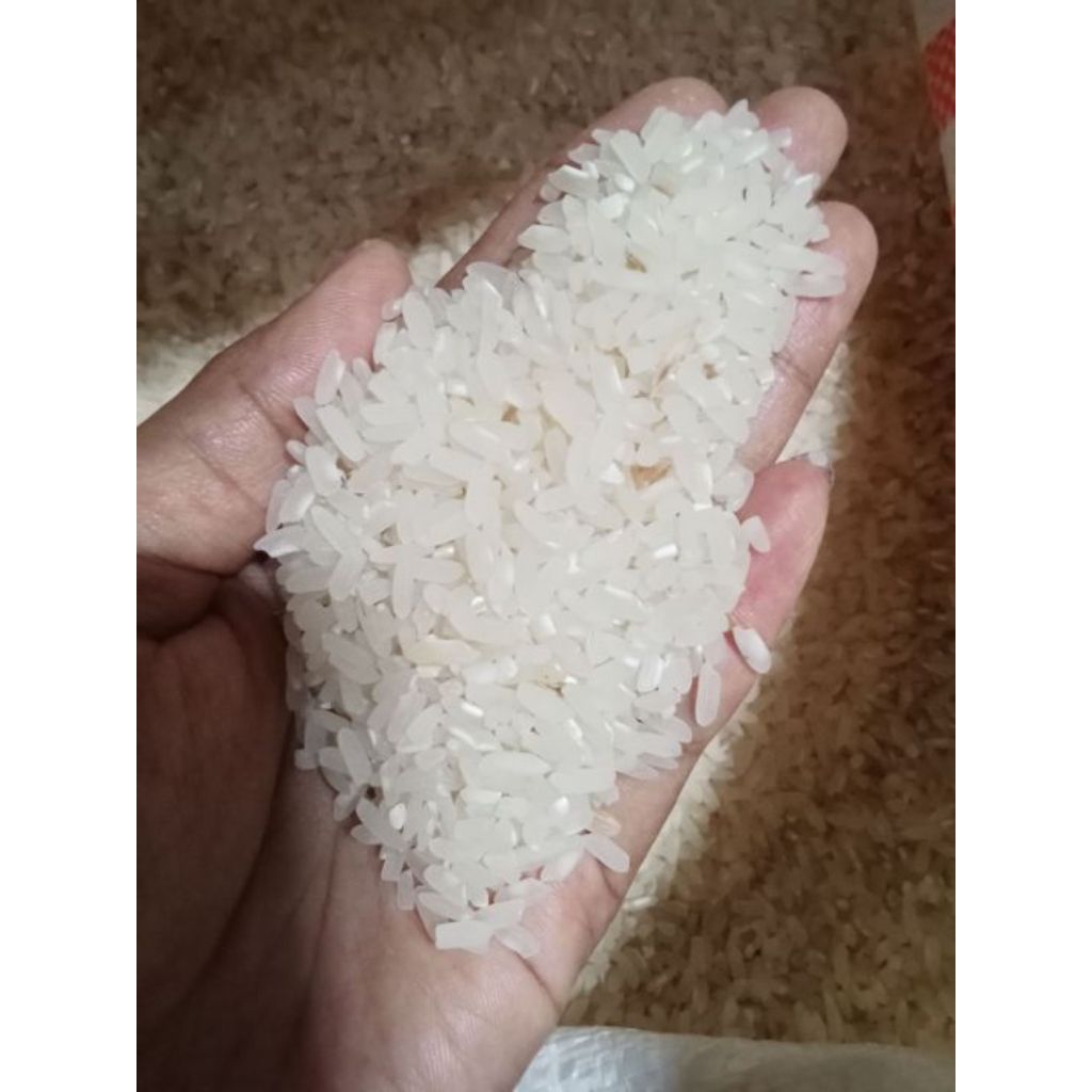 Jual BERAS ROJO LELE 1 kg | Shopee Indonesia