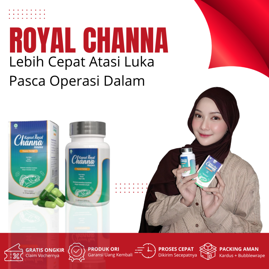 Jual Royal Channa Kapsul Ikan Kutuk Mempercepat Proses Peyembuhan Luka ...