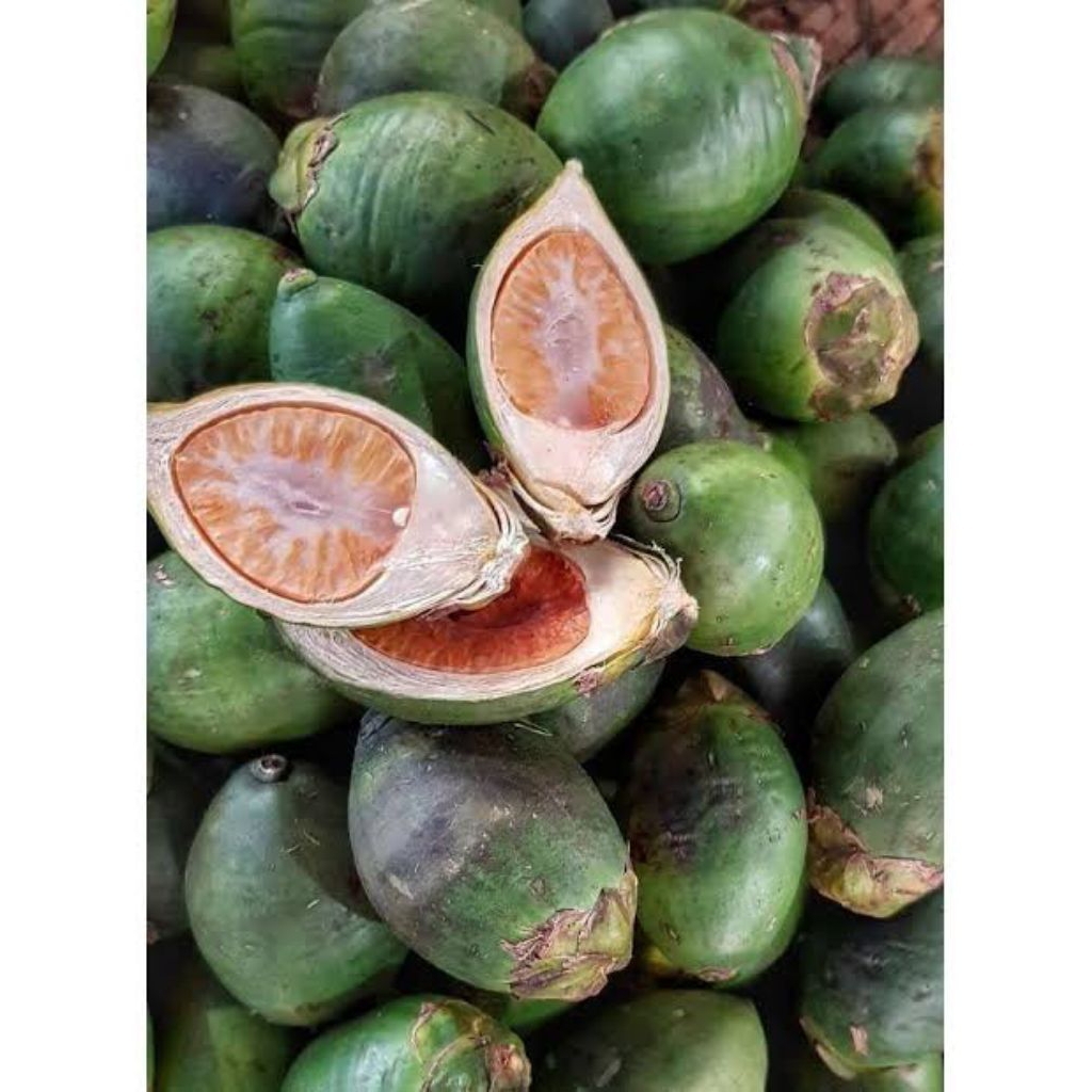 Jual buah pinang jambe muda jebug per 10 buah | Shopee Indonesia