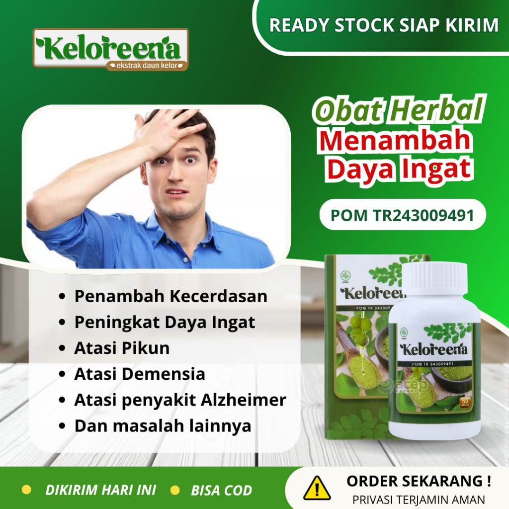 Jual Obat Penambah Kecerdasan, Obat Peningkat Daya Ingat, Bantu Atasi ...