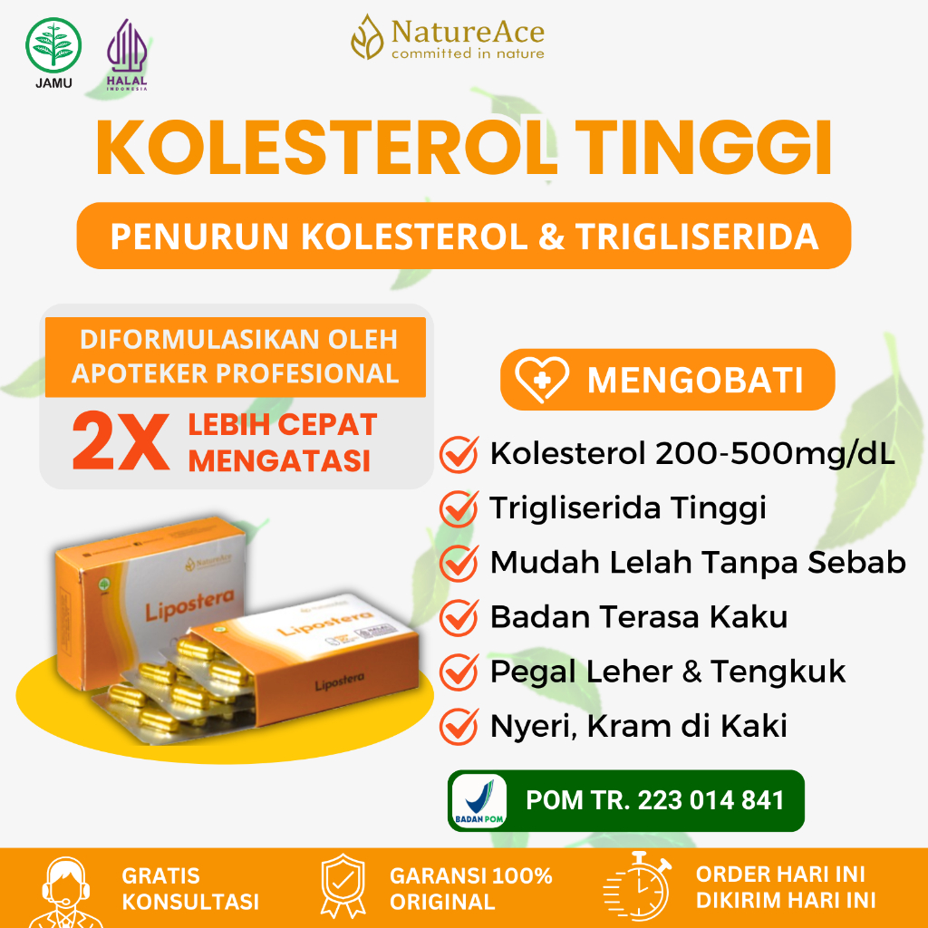 Jual NatureAce Obat Kolesterol Trigliserida Tinggi Atasi Pegal Leher ...