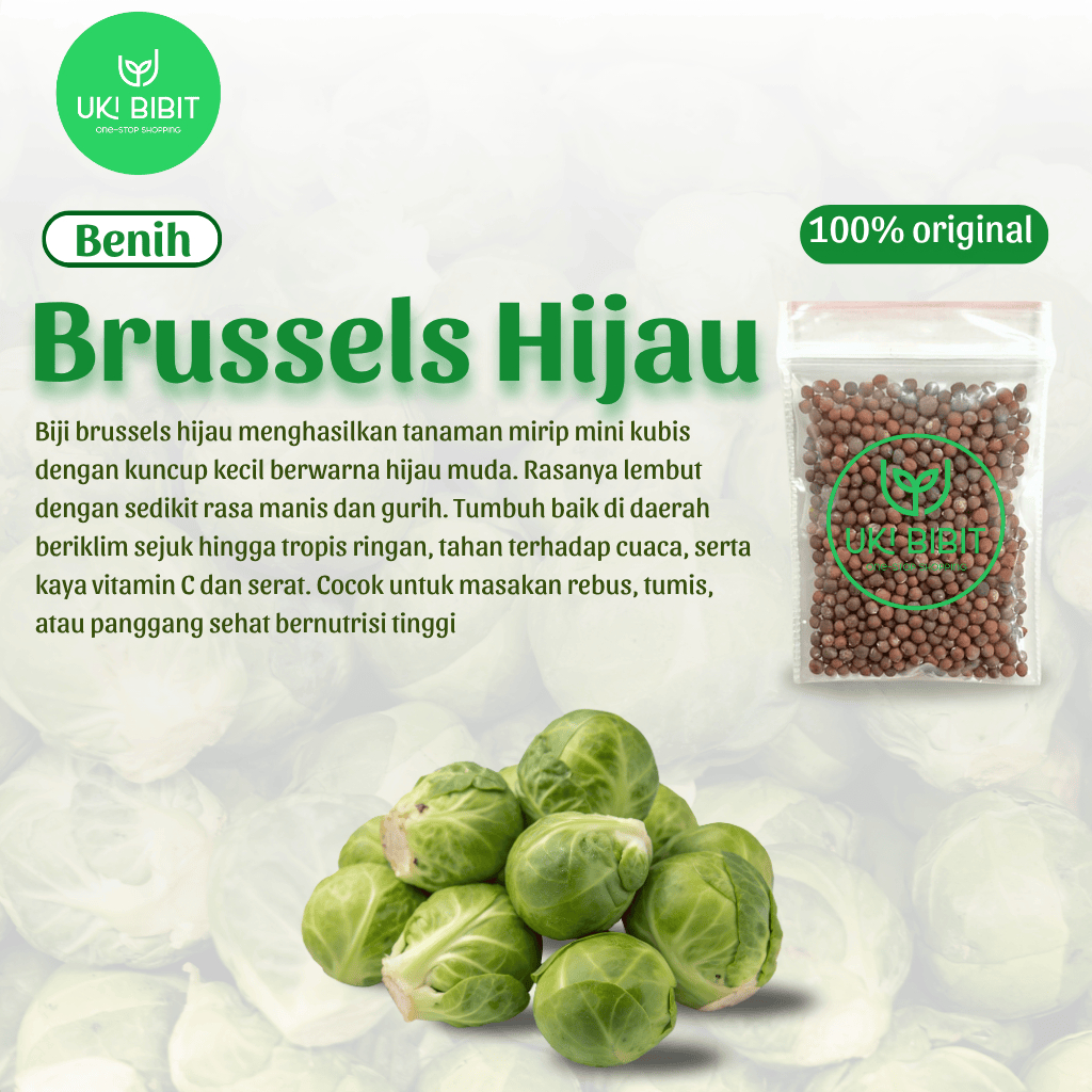 Jual ( 10 Butir ) Benih Biji Brussels Hijau | Kubis Mini | Brusels ...