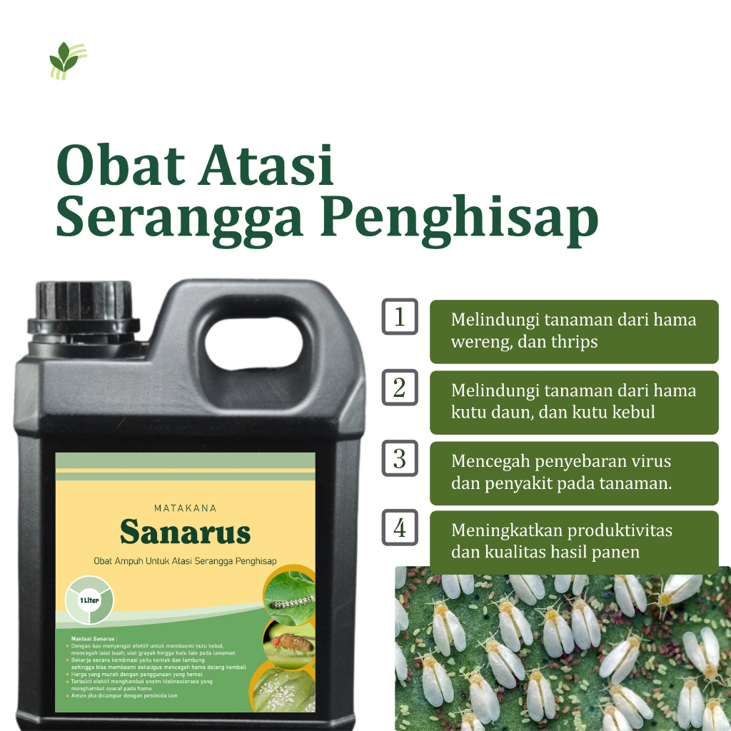 Jual Atasi Serangga Penghisap Sanarus Insektisida Cairan Atasi Hama ...