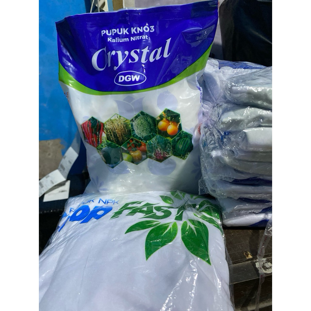 Jual Pupuk KNO3 Crystal 2kg mudah larut Pupuk Buah Premium Bonus Kaos ...