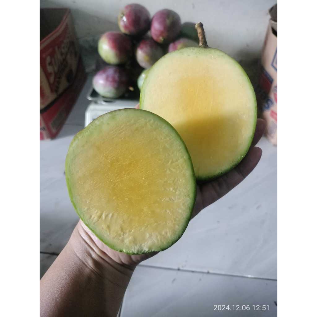 Jual mangga irwin 1kg isi 2-3-4 bisa request ukuran dan ketuannya ...