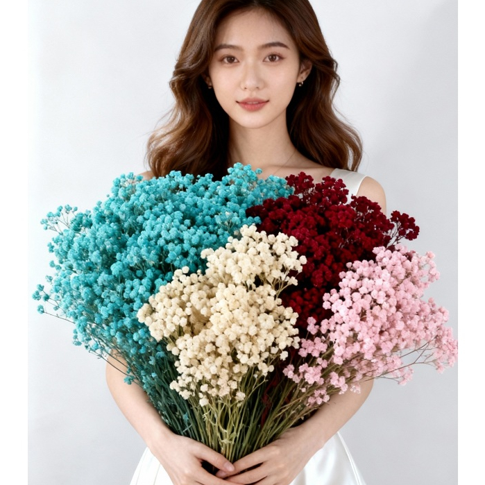 Jual (Gram) Preserved Baby Breath / Dried Flower Awetan / Bunga Kering ...