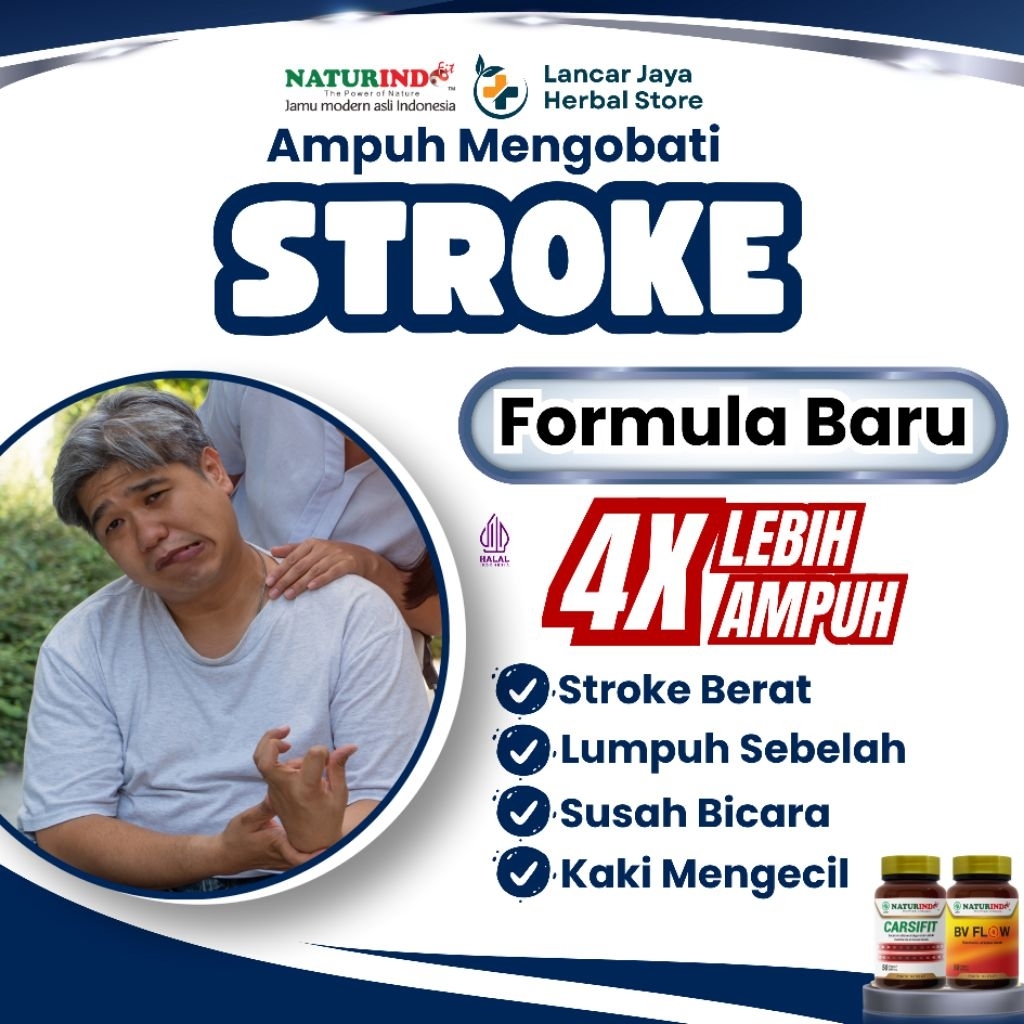 Jual Obat Stroke Berat Struk Ringan Lumpuh Menahun Susah Bicara Kaki ...