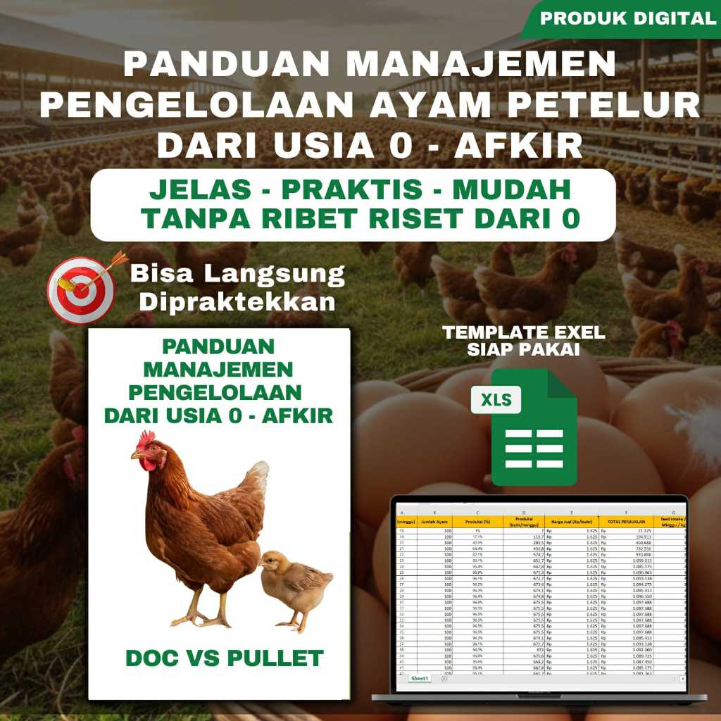 Jual Afkir Ayam Petelur Terlengkap & Harga Terbaru Mei 2026 | Shopee ...