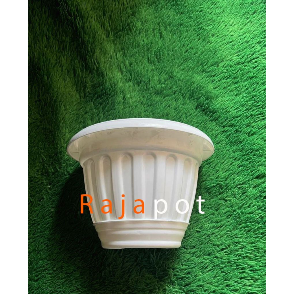 Jual Pot Dinding & Berdiri Bunga / Tanaman Vanda 20cm Putih | Shopee ...