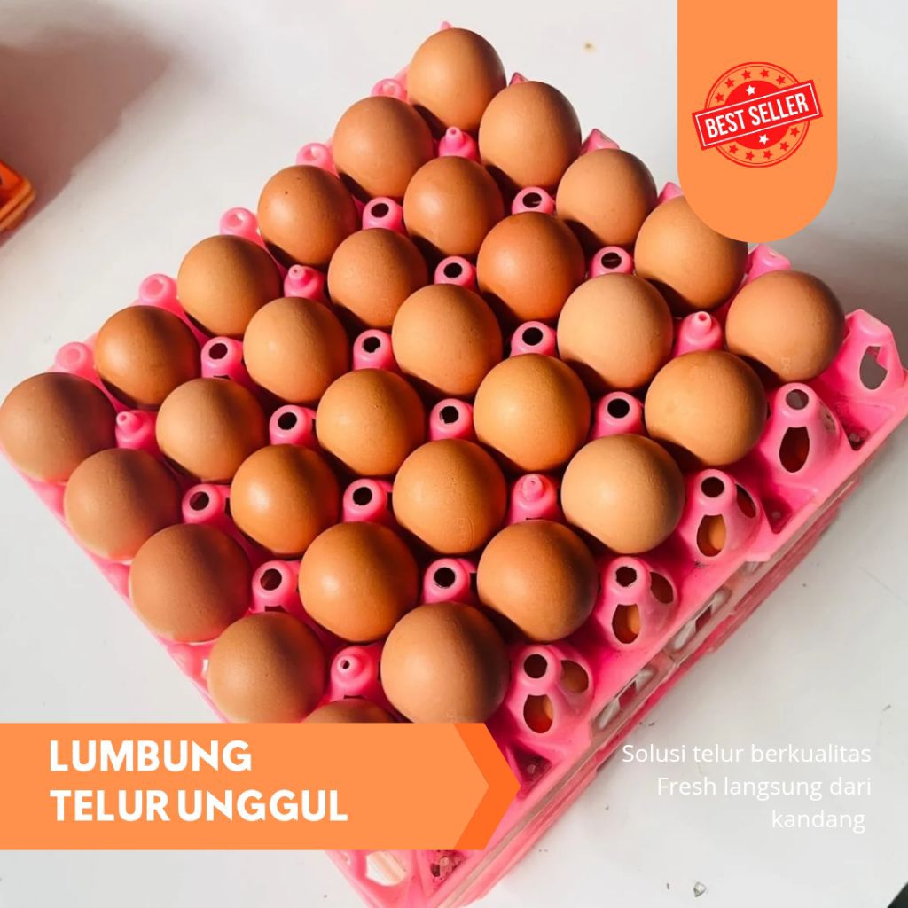 Jual Telur Ayam Negeri 1 Kg (isi 16-17 Butir) | Shopee Indonesia