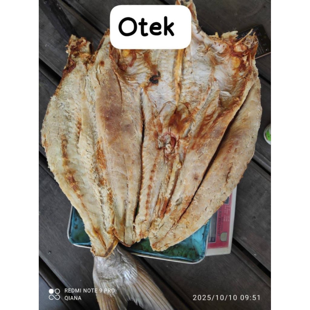 Jual Ikan asin otek khas kalimantan 1kg | Shopee Indonesia