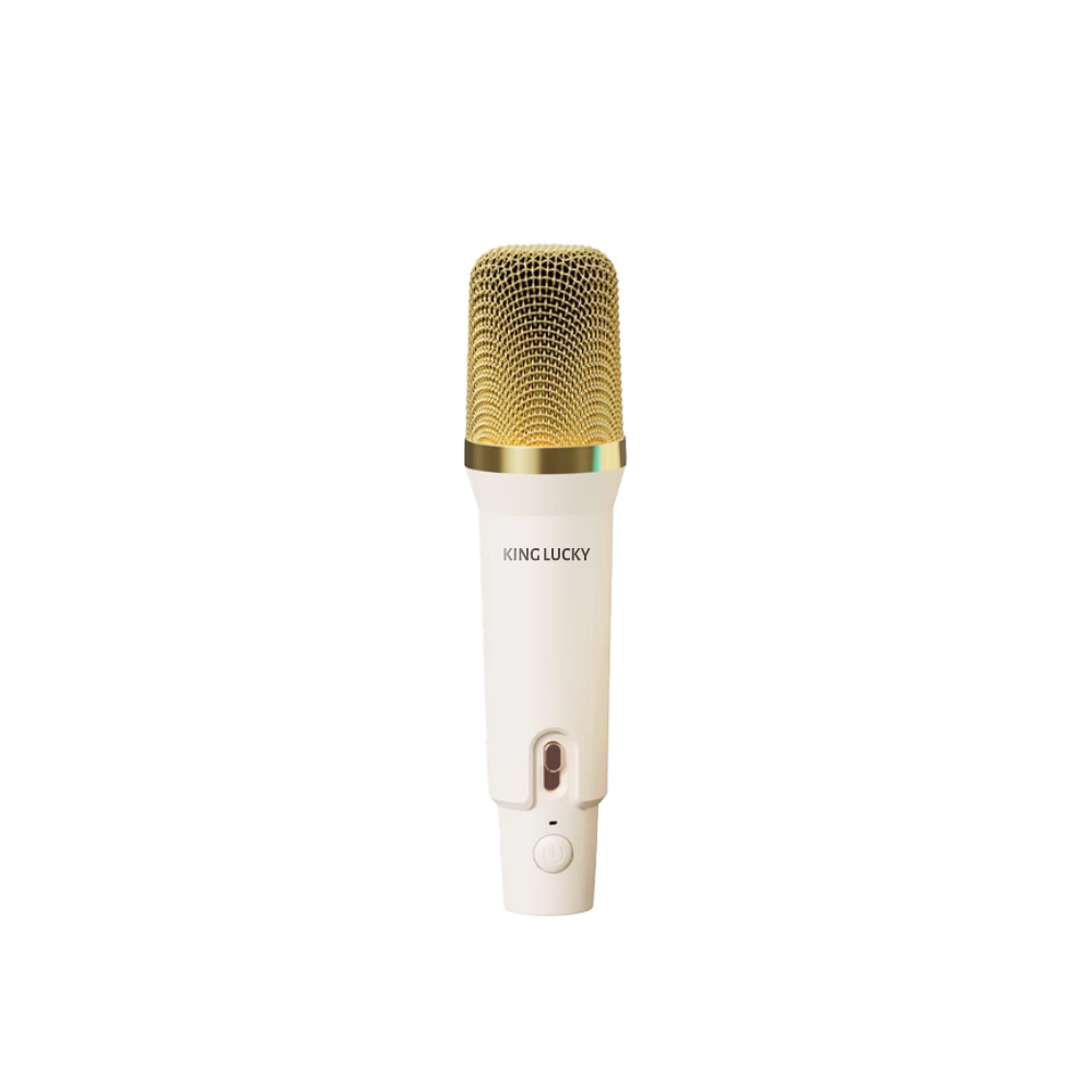 Jual C10 microphone, black, white | Shopee Indonesia