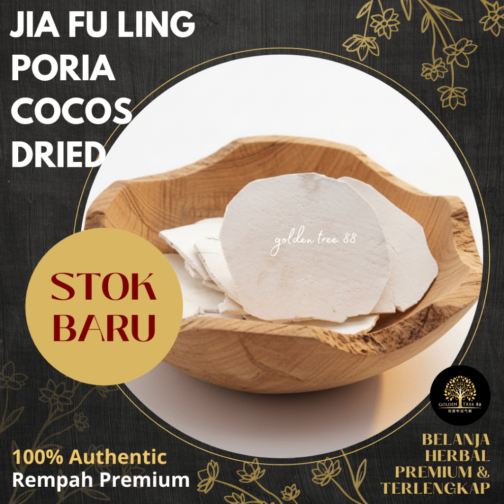 Jual 100 gram Premium Jia Fu Ling / Poria Indian Bread (Tuckahoe) Fresh ...