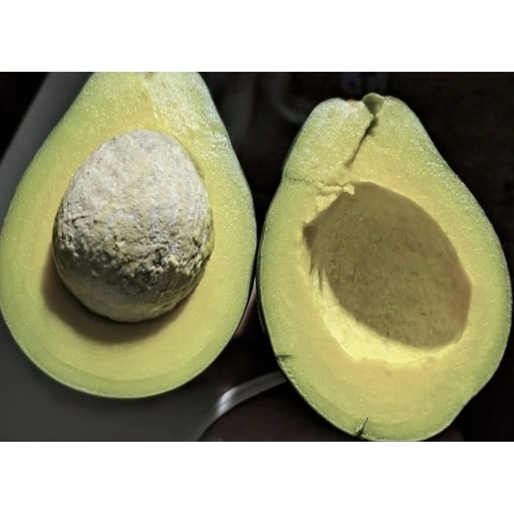 Jual Alpukat MENTEGA super creamy PREMIUM 1kg | Shopee Indonesia