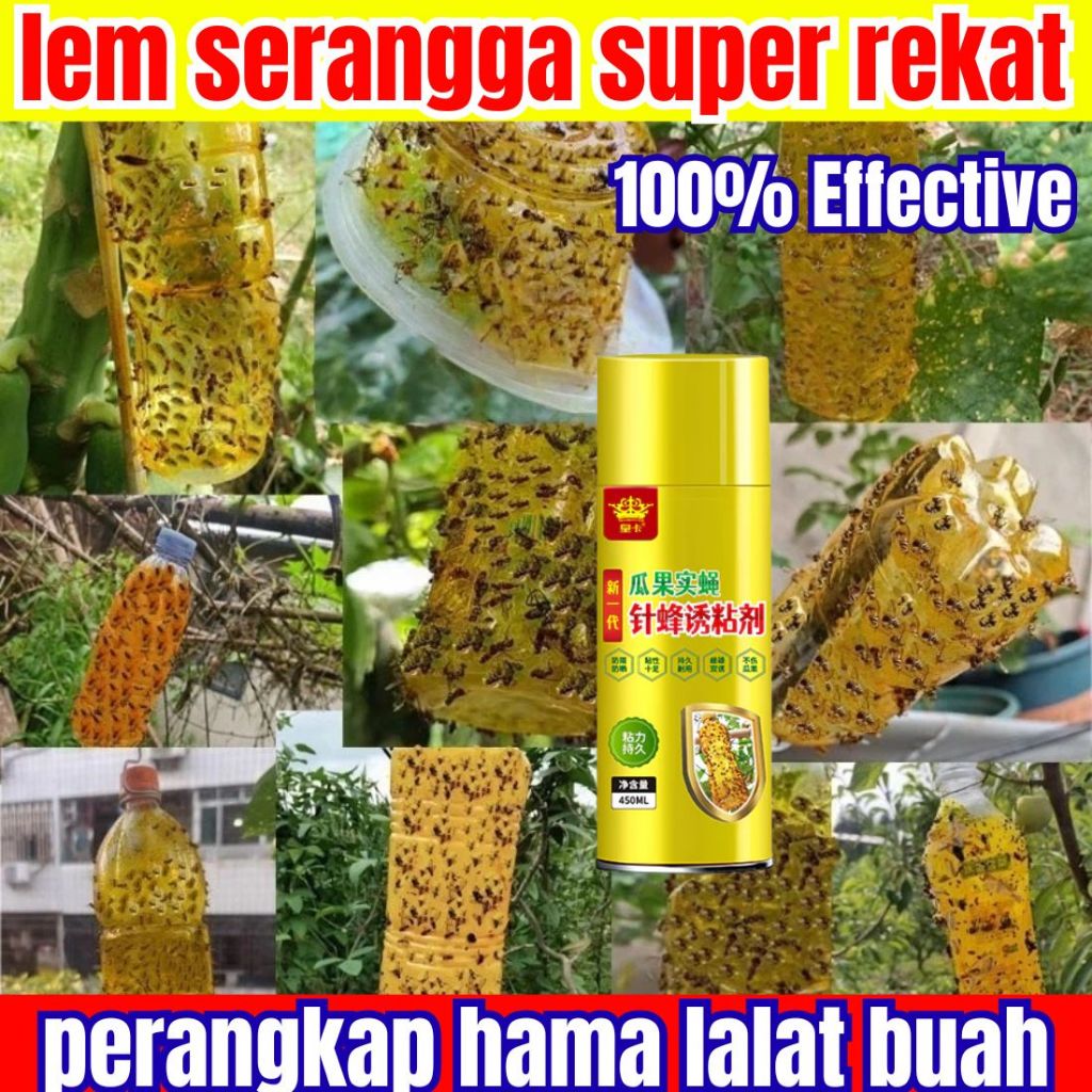 Jual Lem lalat super lengket pengusir lalat racun lalat paling ampuh ...