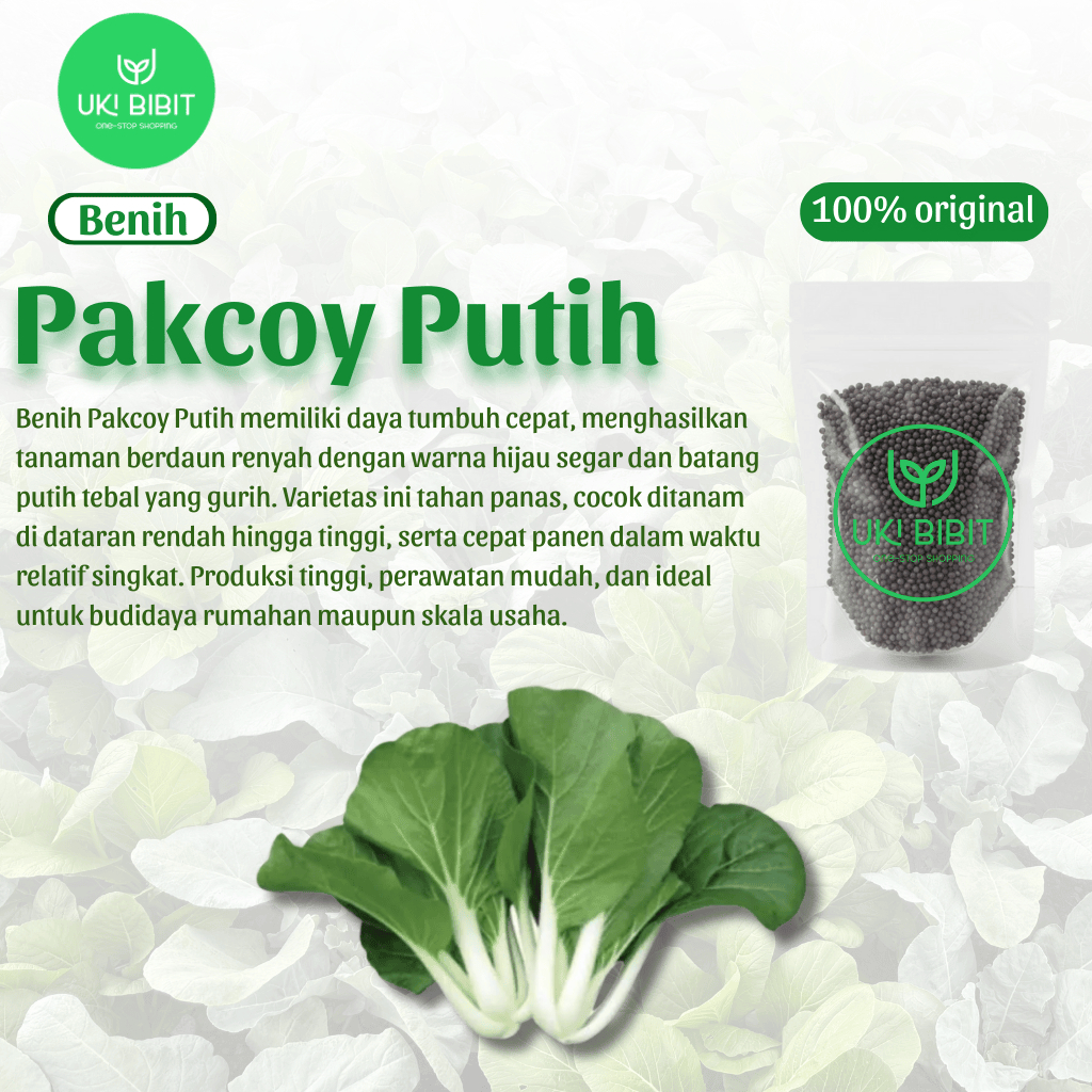 Jual ( 10 Butir ) Benih Biji Pakcoy Putih | Sawi Sendok | Bok Choy ...