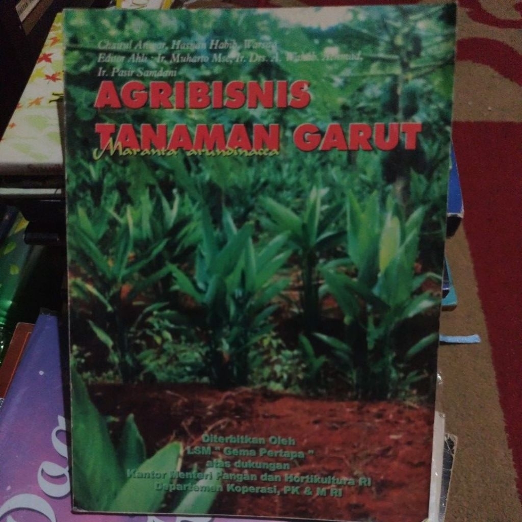 Jual Buku Agribisnis Tanaman Garut Maranta Arundinacca | Shopee Indonesia