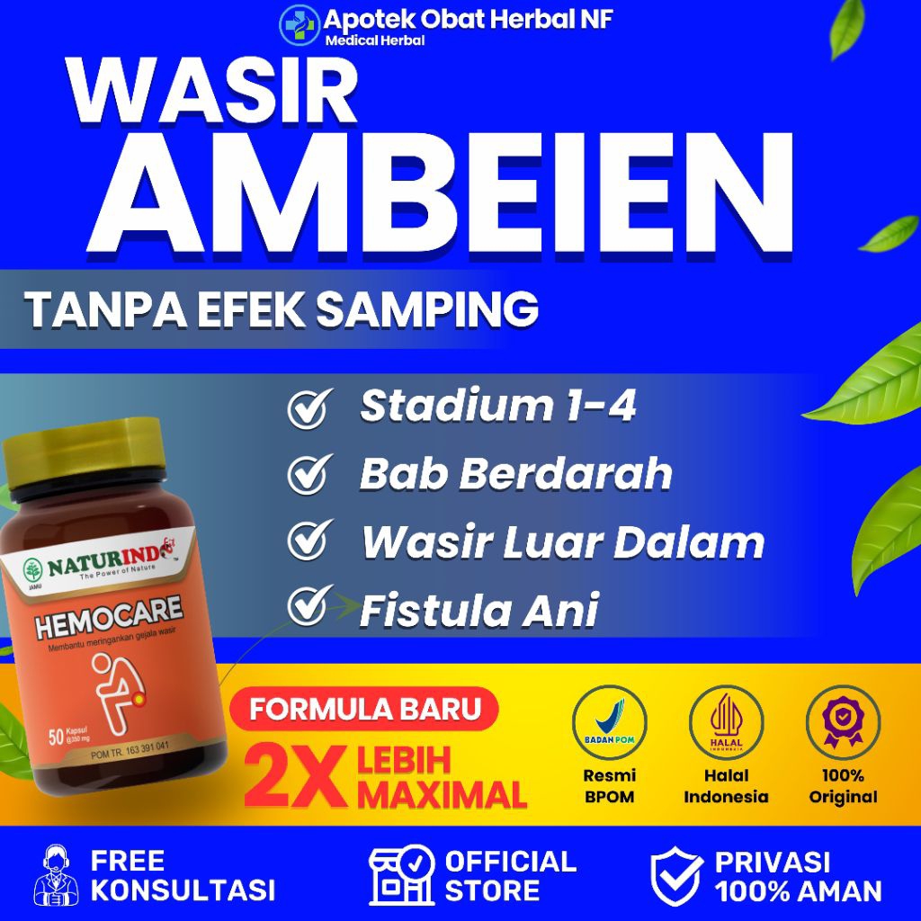 Jual Obat Wasir Ambeien Stadium 1 Sampai 4 Benjolan di Anus Ambeyen BAB ...