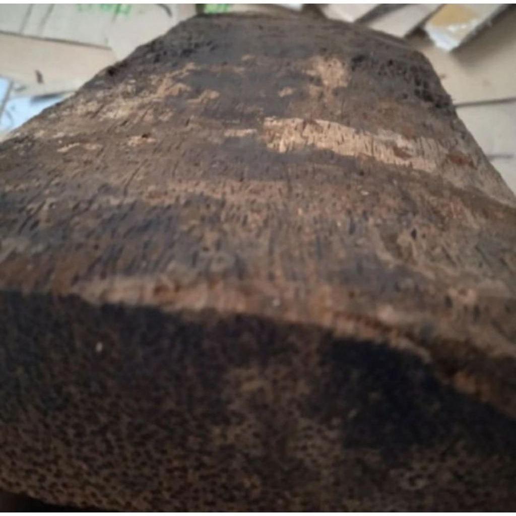 Jual Ruyung aren atau papan pohon aren kuat dan awet bahan baku ...
