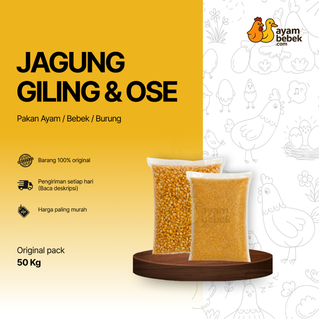 Jual Jagung Giling dan Jagung Ose - Pakan Ayam/Bebek/Burung | 20KG-50 ...