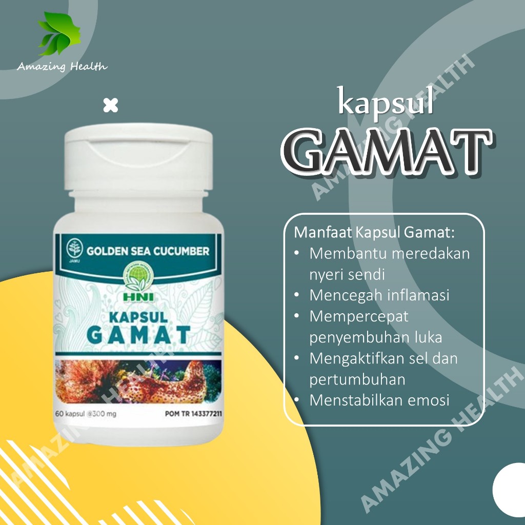 Jual Kapsul Gamat HNI Obat Sendi 60 Kapsul Ekstrak Teripang Emas ...