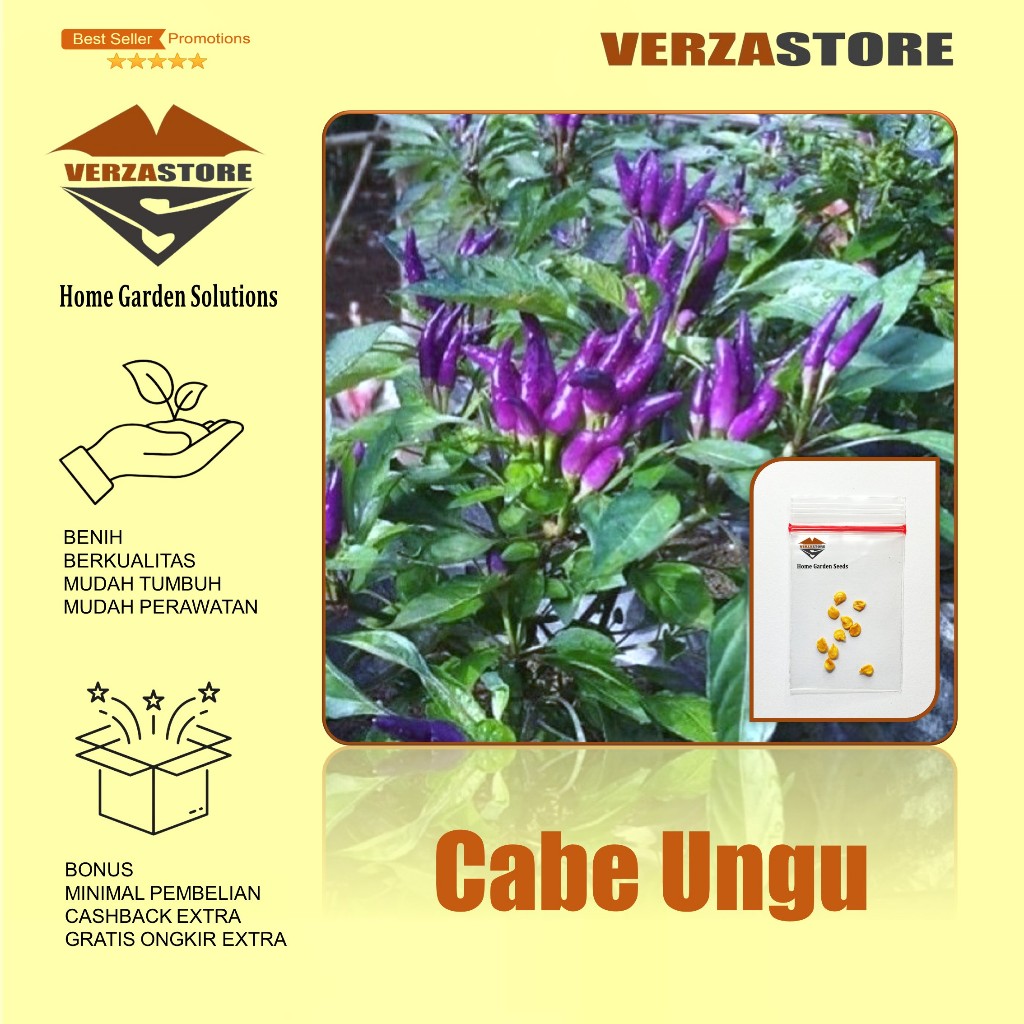 Jual Biji Benih Cabe Ungu Tanaman Cabai Hias /10 biji | Shopee Indonesia