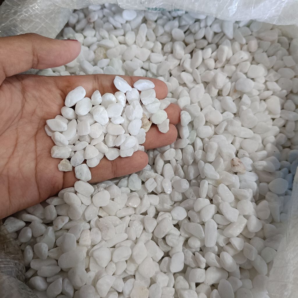 Jual batu koral putih isi 500gr 7 9 mm batu hias untuk dekorasi taman ...