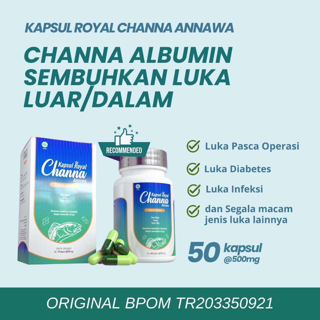 Jual Royal Channa Annawa Kapsul Channa Albumin Mempercepat Peyembuhan ...