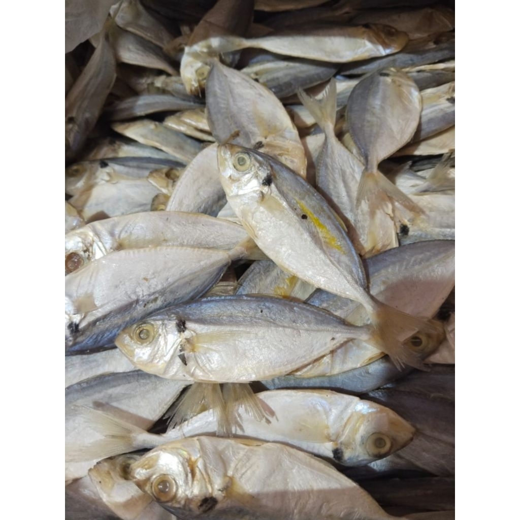 Jual selar /paket usaha 10kg/ ikan asin selar/peda putih | Shopee Indonesia