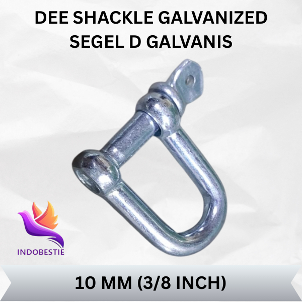 Jual Shackle Segel D Galvanis 10 mm M10 3/8 Inch Dee Galvanized Bow ...
