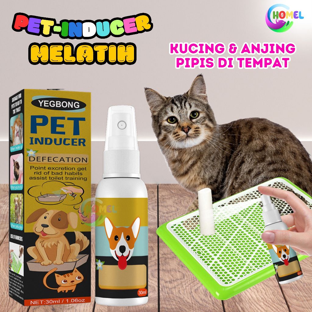 Jual Alat Latih Kucing Pipis dan Pup di Tempatnya Spray Pet Inducer ...