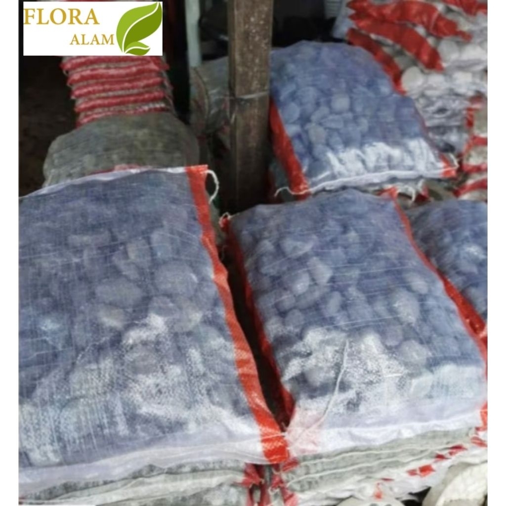 Jual Batu Hitam Batu Koral Hitam Bengkulu 10 Kg | Shopee Indonesia