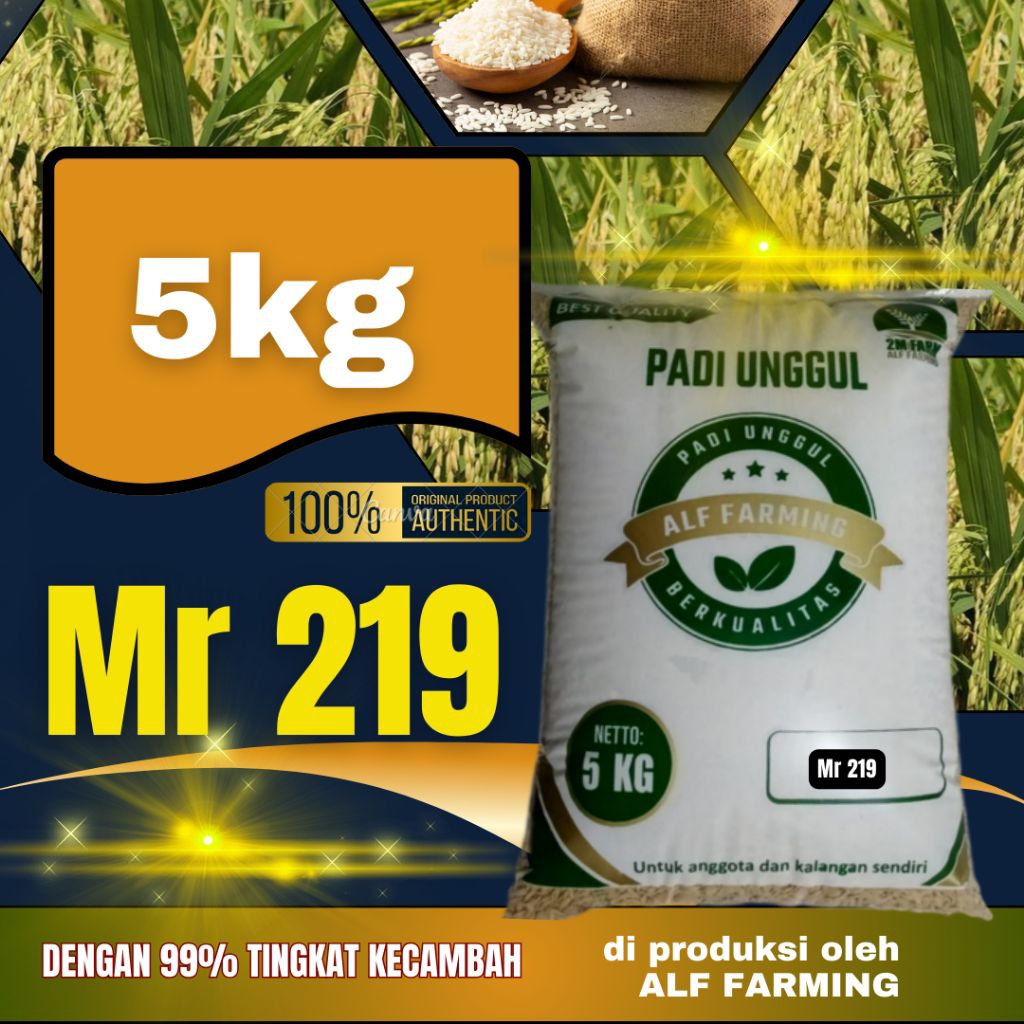 Jual Benih padi unggul MR 219 ORIGINAL 5kg | Shopee Indonesia