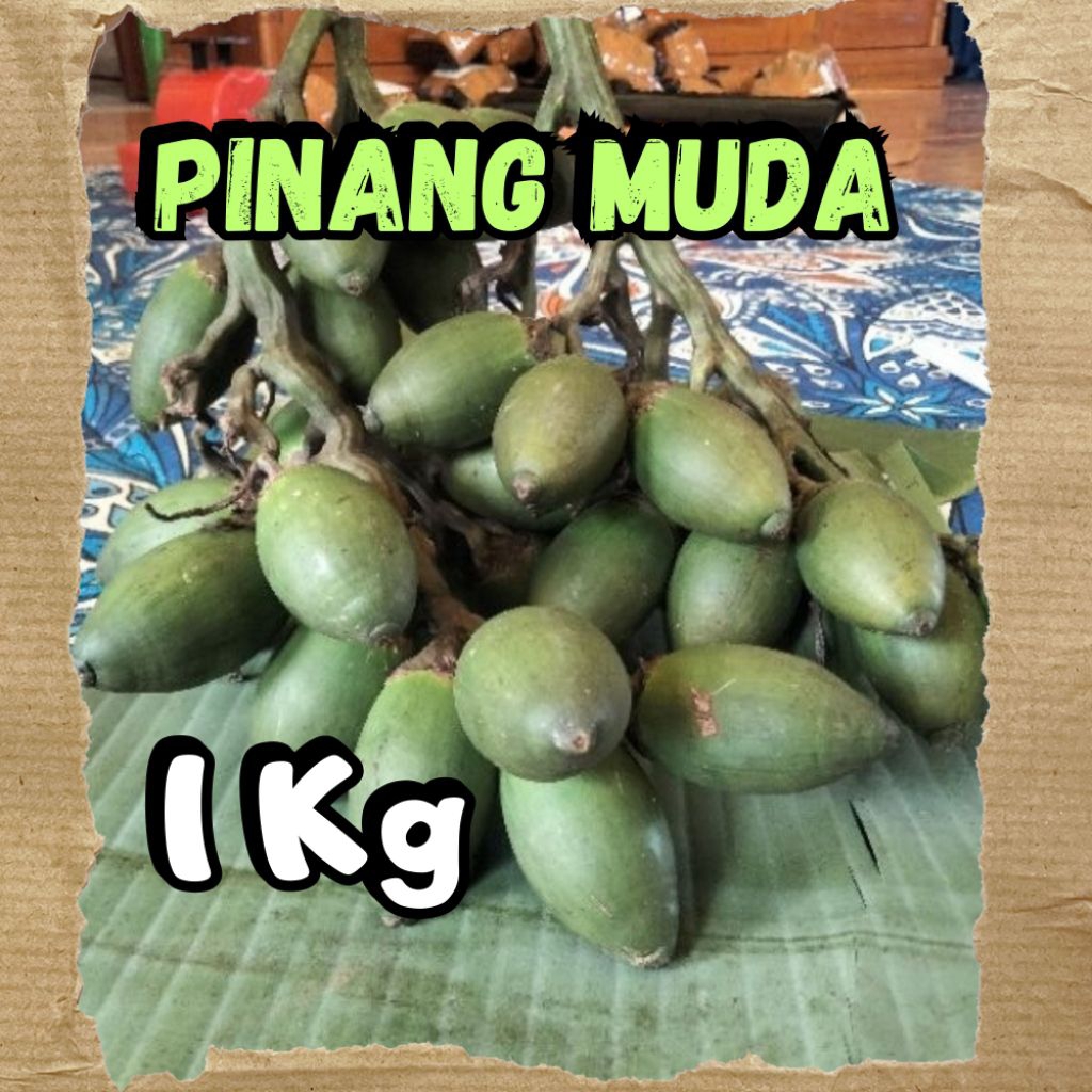 Jual Pinang Muda Segar Pilihan Isi 20 Buah Jambe Muda Fresh Panen ...