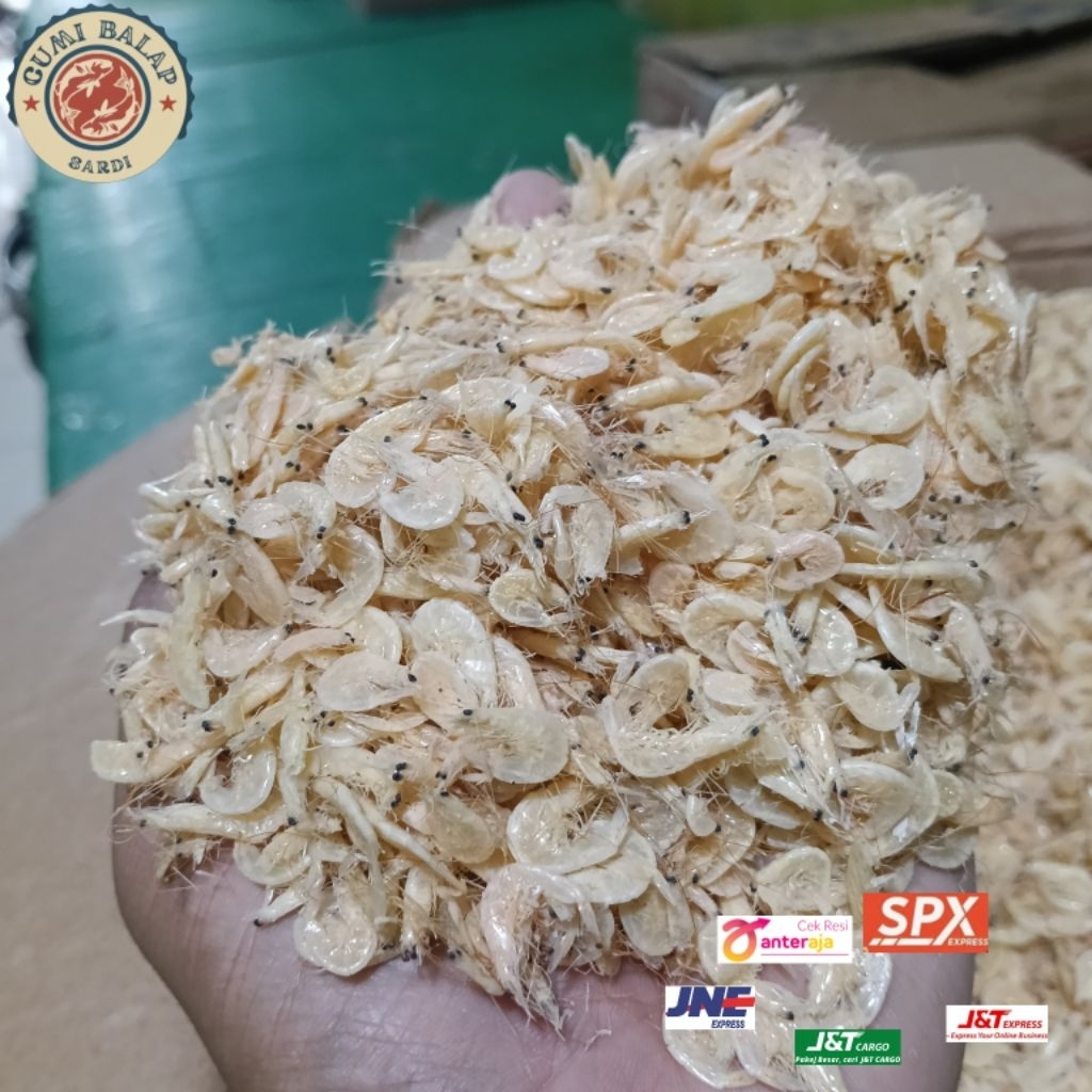 Jual udang rebon/rebon asin/ikan udang rebon. | Shopee Indonesia