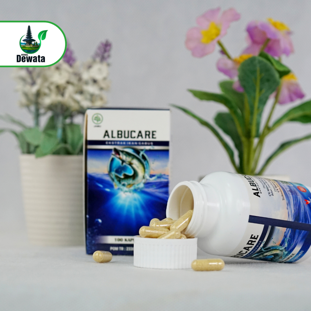 Jual ALBUCARE Kapsul Ikan Gabus Obat Luka Pasca Melahirkan Operasi ...