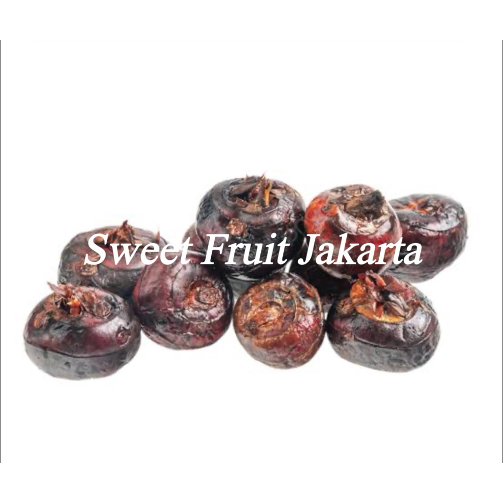 Jual Water Chesnut Fresh 500gr | Shopee Indonesia
