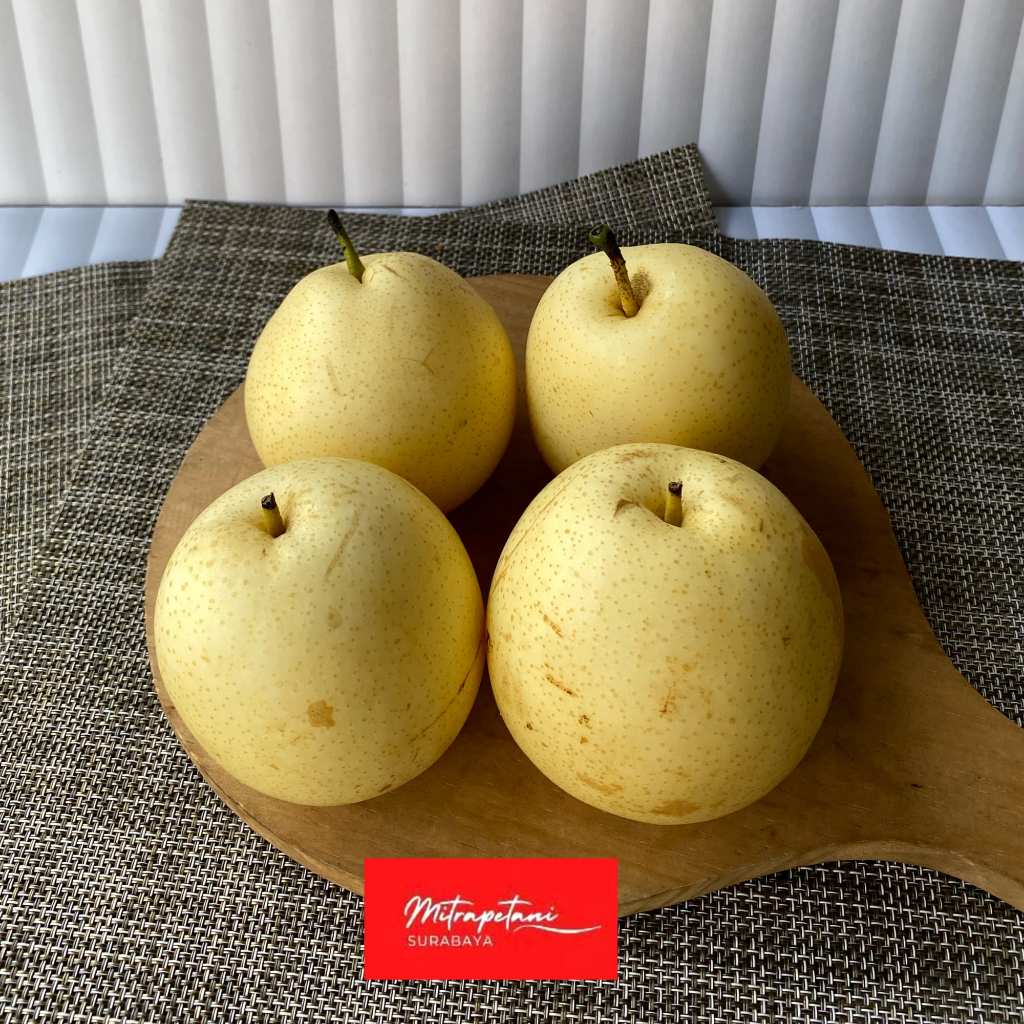 Jual Pir Century, buah pir, pir segar, buah pear | Shopee Indonesia