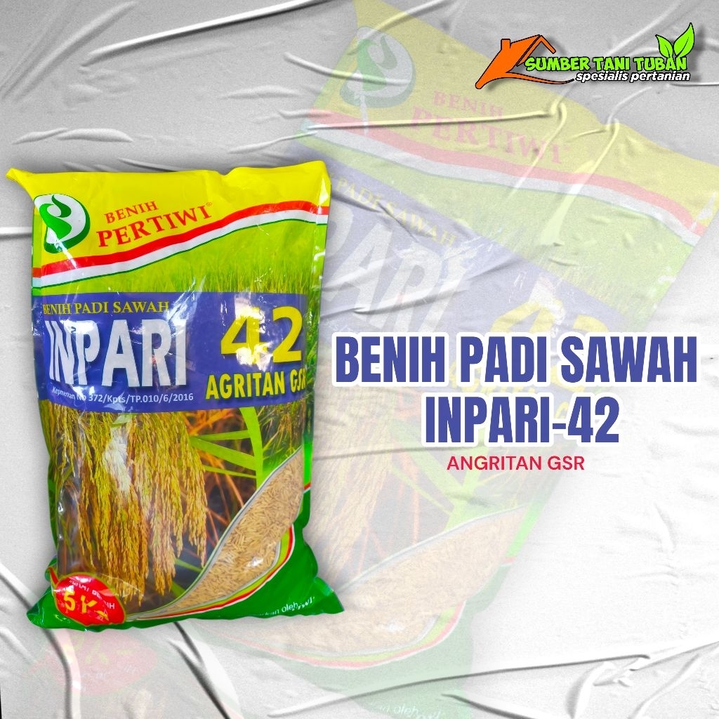 Jual BENIH PADI SAWAH INPARI 42 ANGRITAN GSR PERTIWI ( KEMASAN 5.KG ...